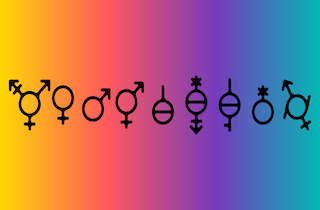 The Learning Center at En Femme: Change Your Gender, Change Your World ...